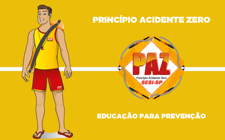 Princípio Acidente Zero