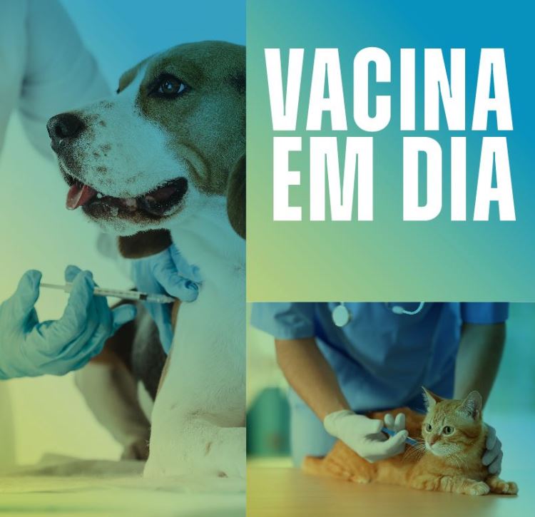 SESI - Portal - Fevereiro terá a Campanha Vacina em Dia e a primeira ...